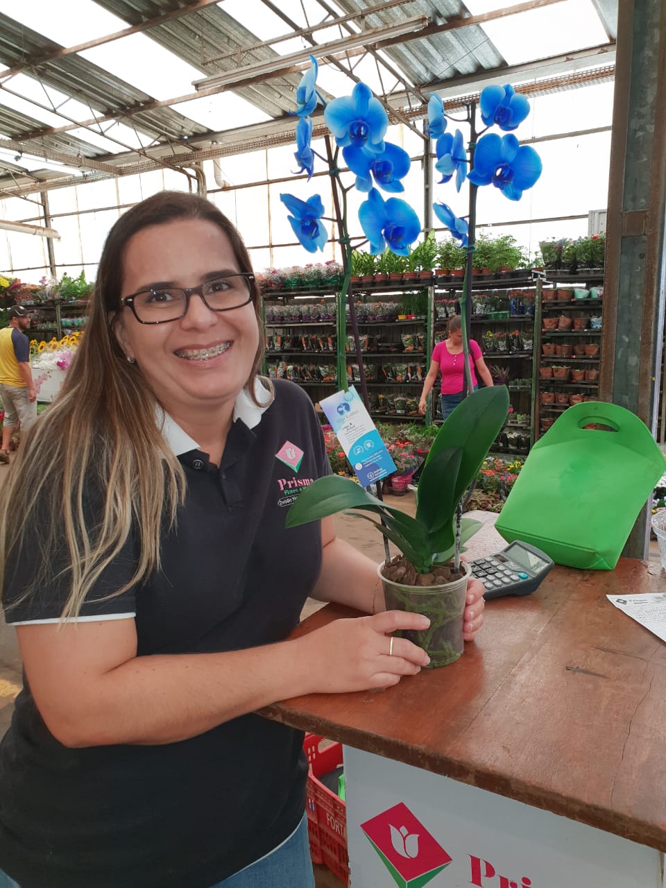 Histórias do mundo das flores - Sítio Kolibri - Phalaenopsis