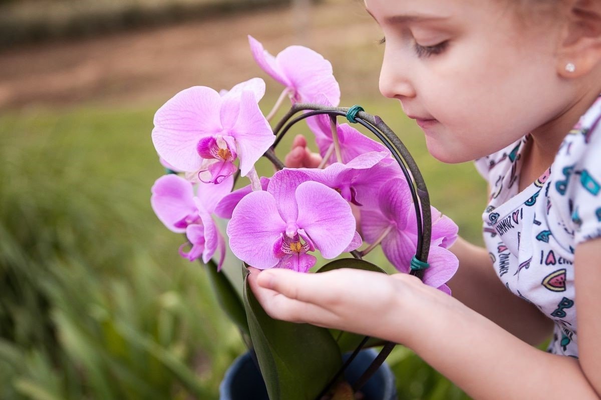 Quem são as crianças-orquídea, e por que são chamadas assim? - Kolibri
